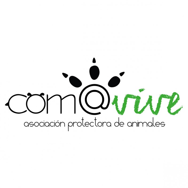 Mascotas adoptadas de Comvive - Albergaria - La Nueva España